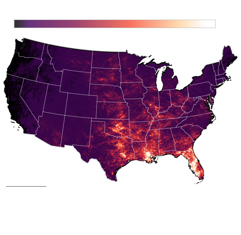 White House lightning strike survivor Amber Escudero-Kontostathis ...