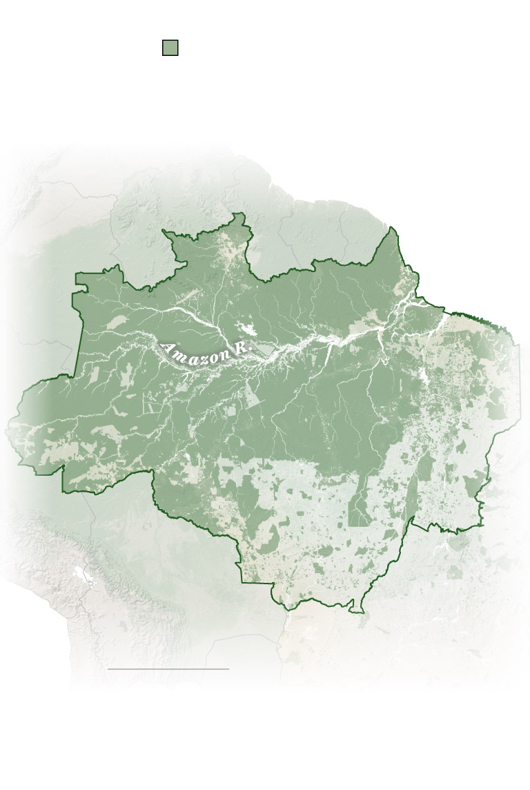 Topographic Map Of The Amazon Basin And Locations Of The Monitored