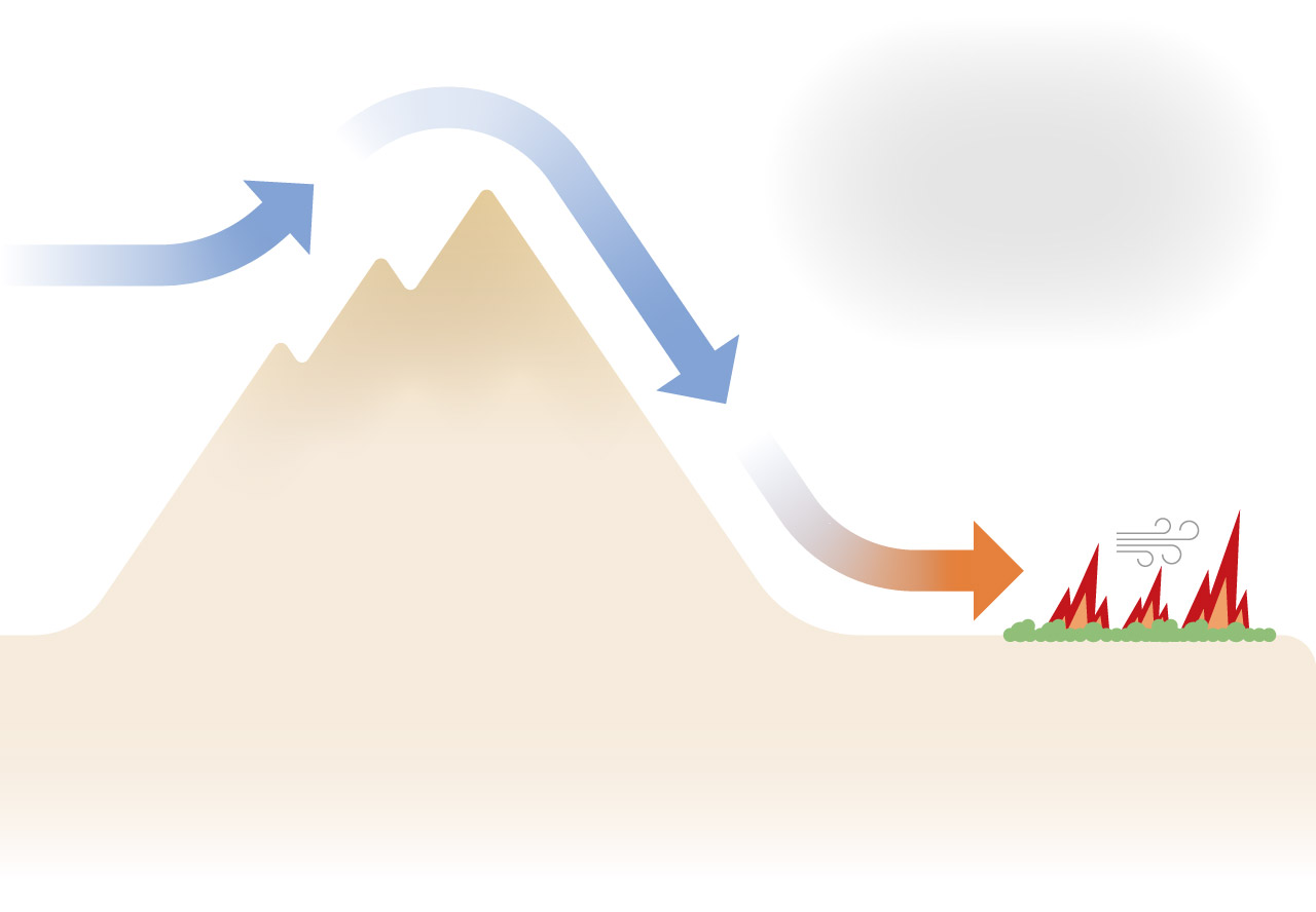 The science behind Hawaii’s extreme fires - The Washington Post