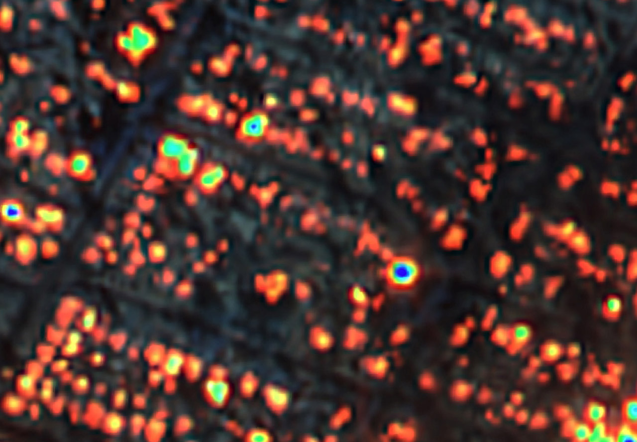 Urban firestorms fueled by climate, winds and unprepared neighborhoods ...