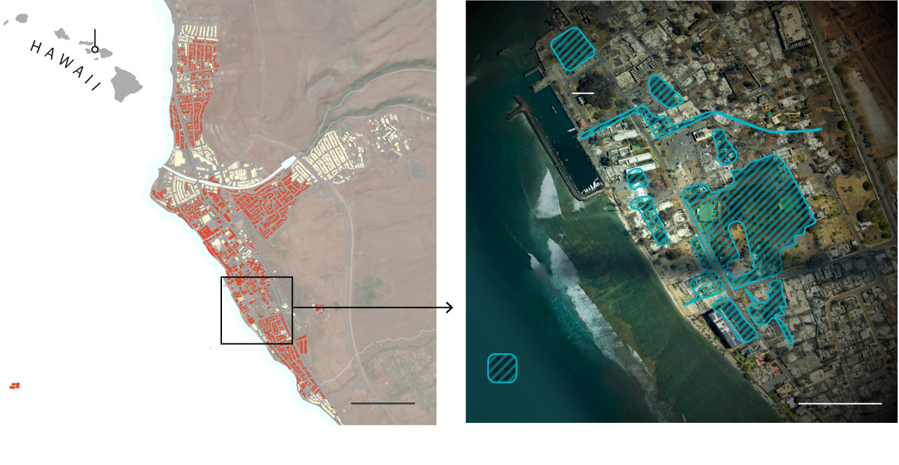 Maui fires offer a chance to restore Lahaina wetlands - Washington Post