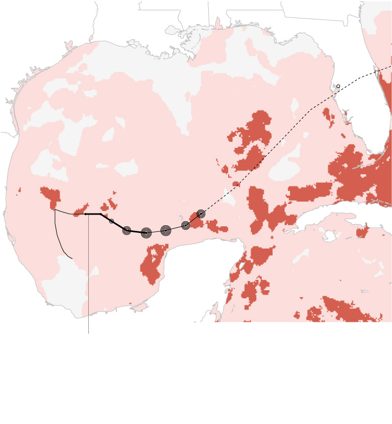 How marine heat waves propel storrms like Hurricane Milton and Helene ...