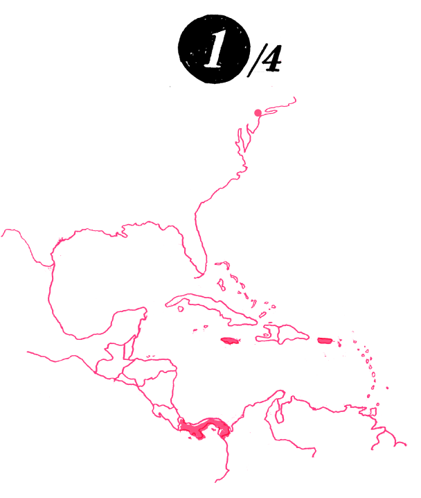 The evolution of reggaeton and the dembow beat: an interactive timeline ...