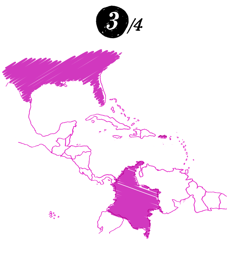 The evolution of reggaeton and the dembow beat: an interactive timeline ...