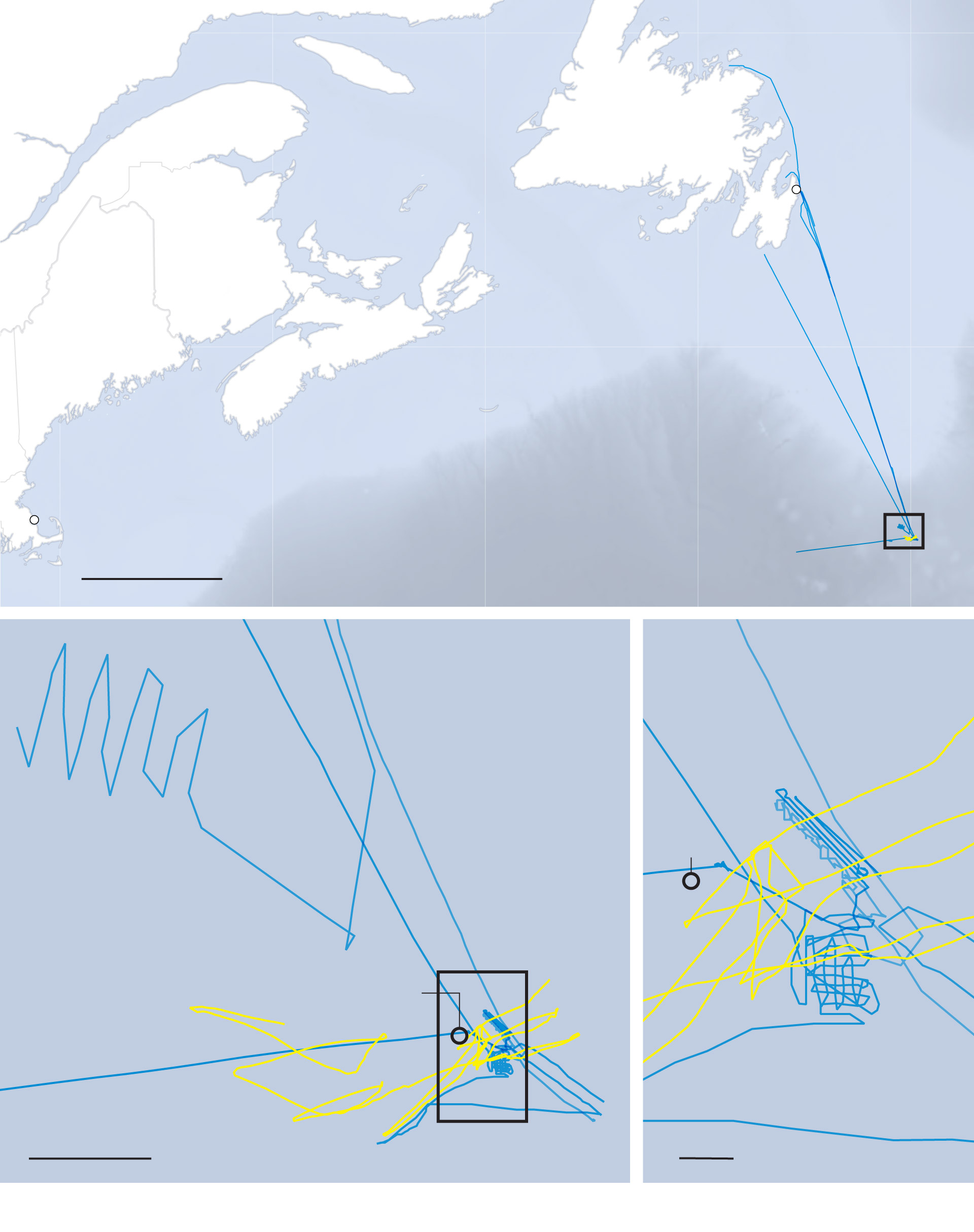 Map shows scale of search for missing sub near the Titanic wreckage ...