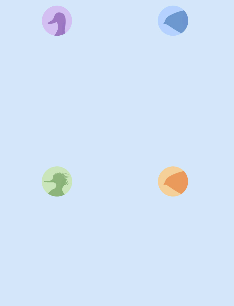 Who would win gold in the bird Olympics? - Washington Post