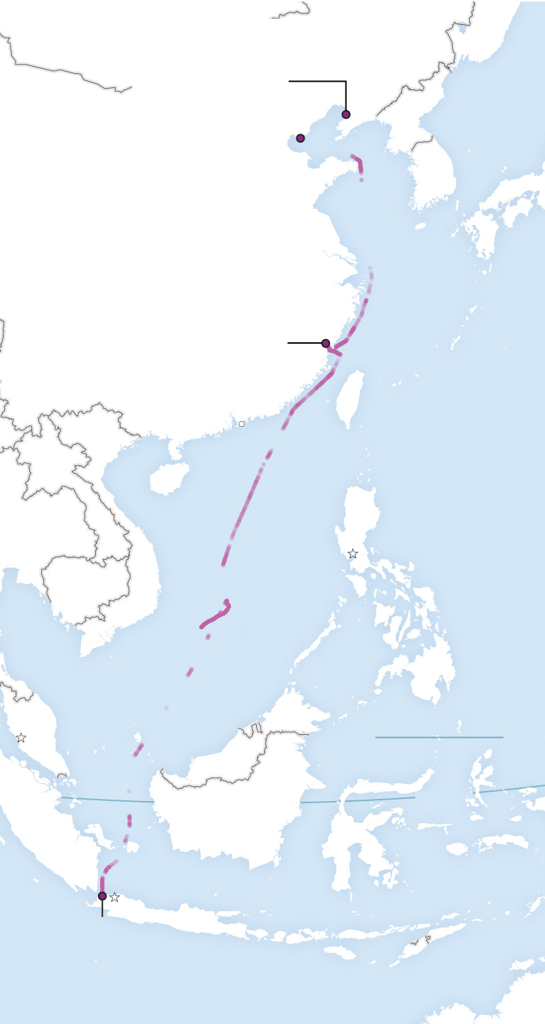How China let a ship banned for ferrying North Korean coal go rogue ...