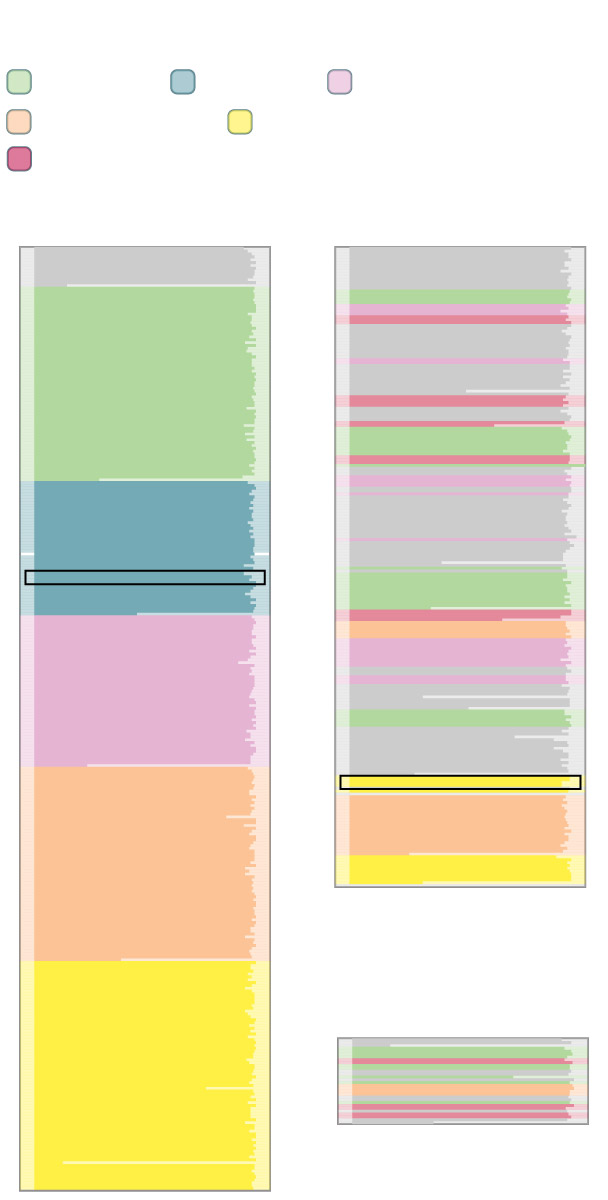 These topics dominated the Trump-Biden debate - The Washington Post