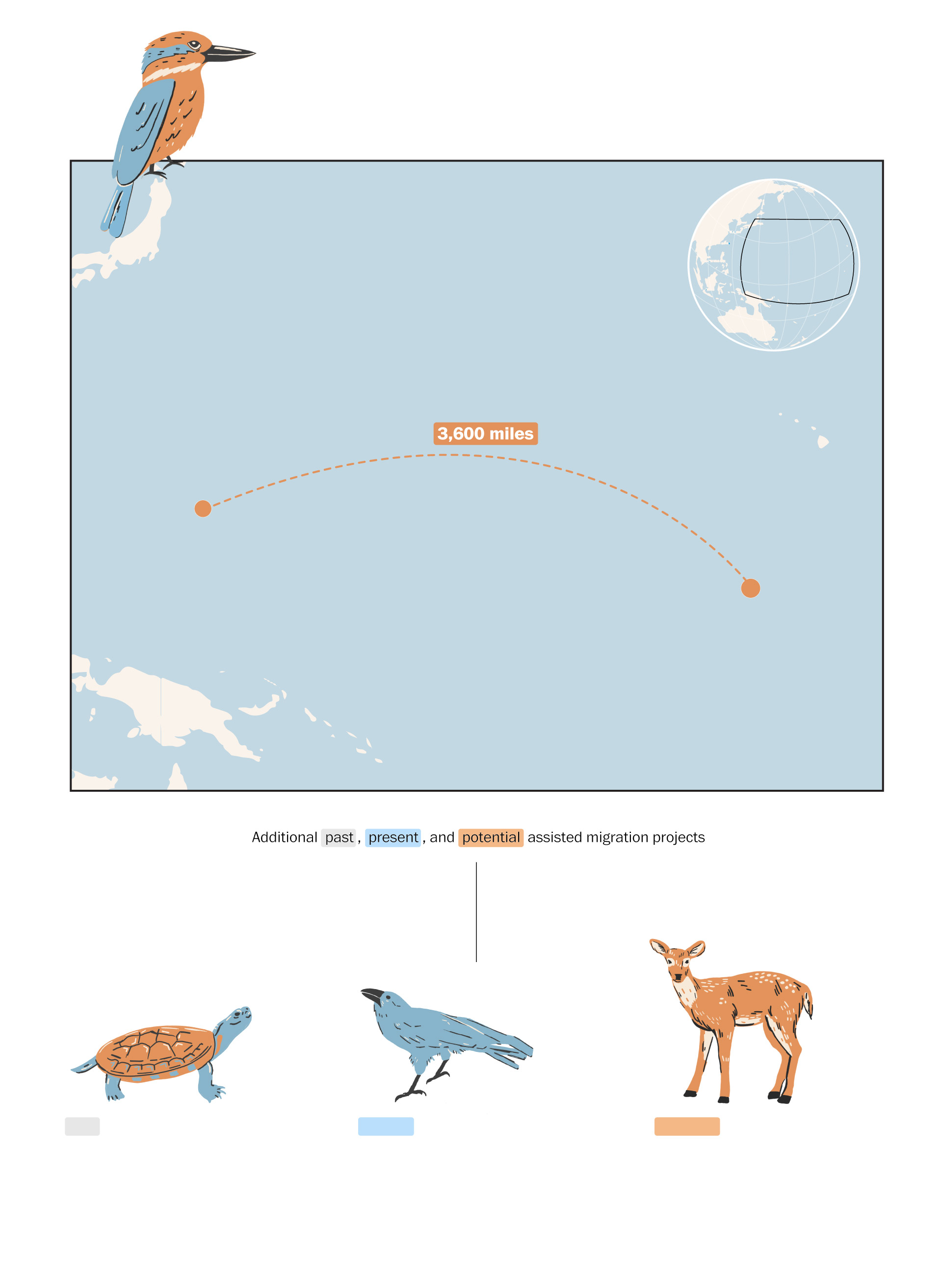 Scientists are migrating nearly extinct species to new locations ...