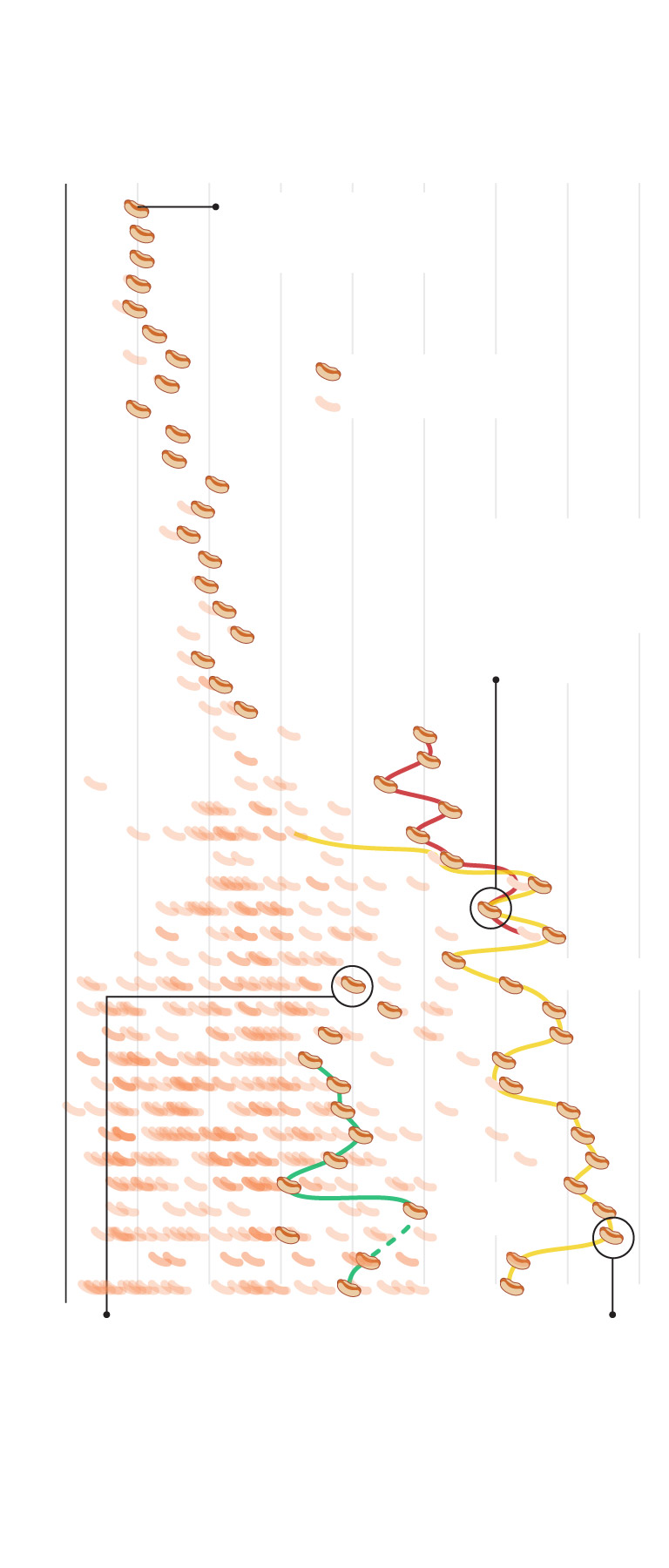 How competitive hot dog eaters prepare for the July 4th contest - The ...