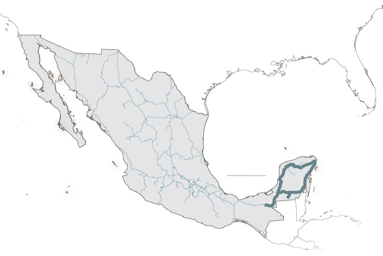 Mexico’s Maya Train is opening. Here’s what to know about taking it ...