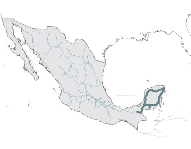 Mexico’s Maya Train is opening. Here’s what to know about taking it ...