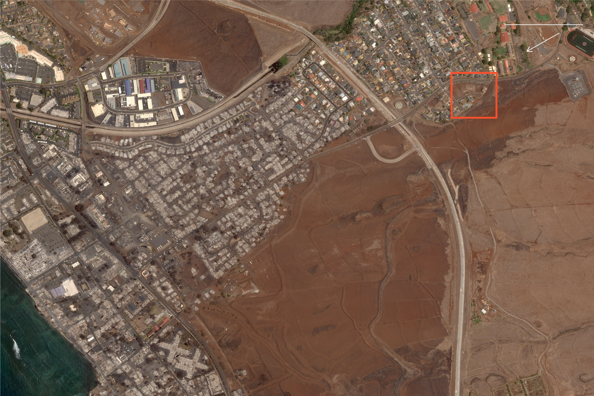 Maui’s unmanaged invasive grasslands strengthened the Lahaina fires ...