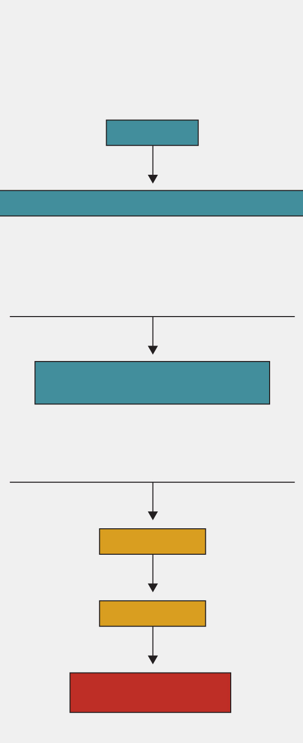 Path to Formula One: Why it's so hard for Americans to reach the grid ...