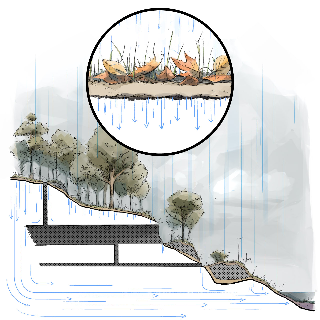 How wildfires damage watersheds and contaminate our drinking water ...