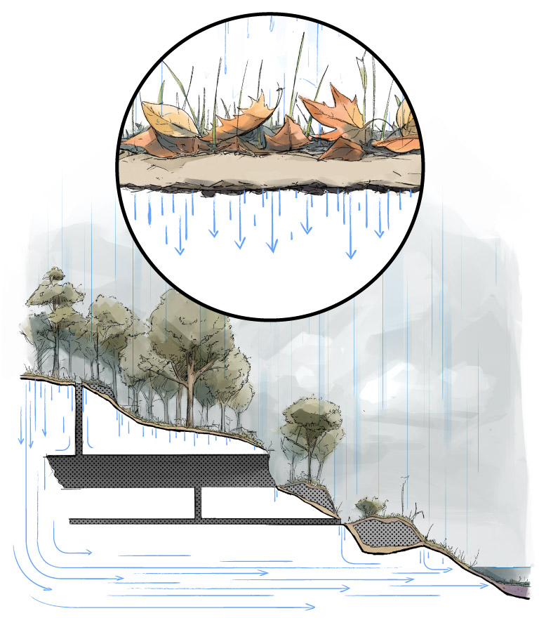 How wildfires damage watersheds and contaminate our drinking water ...