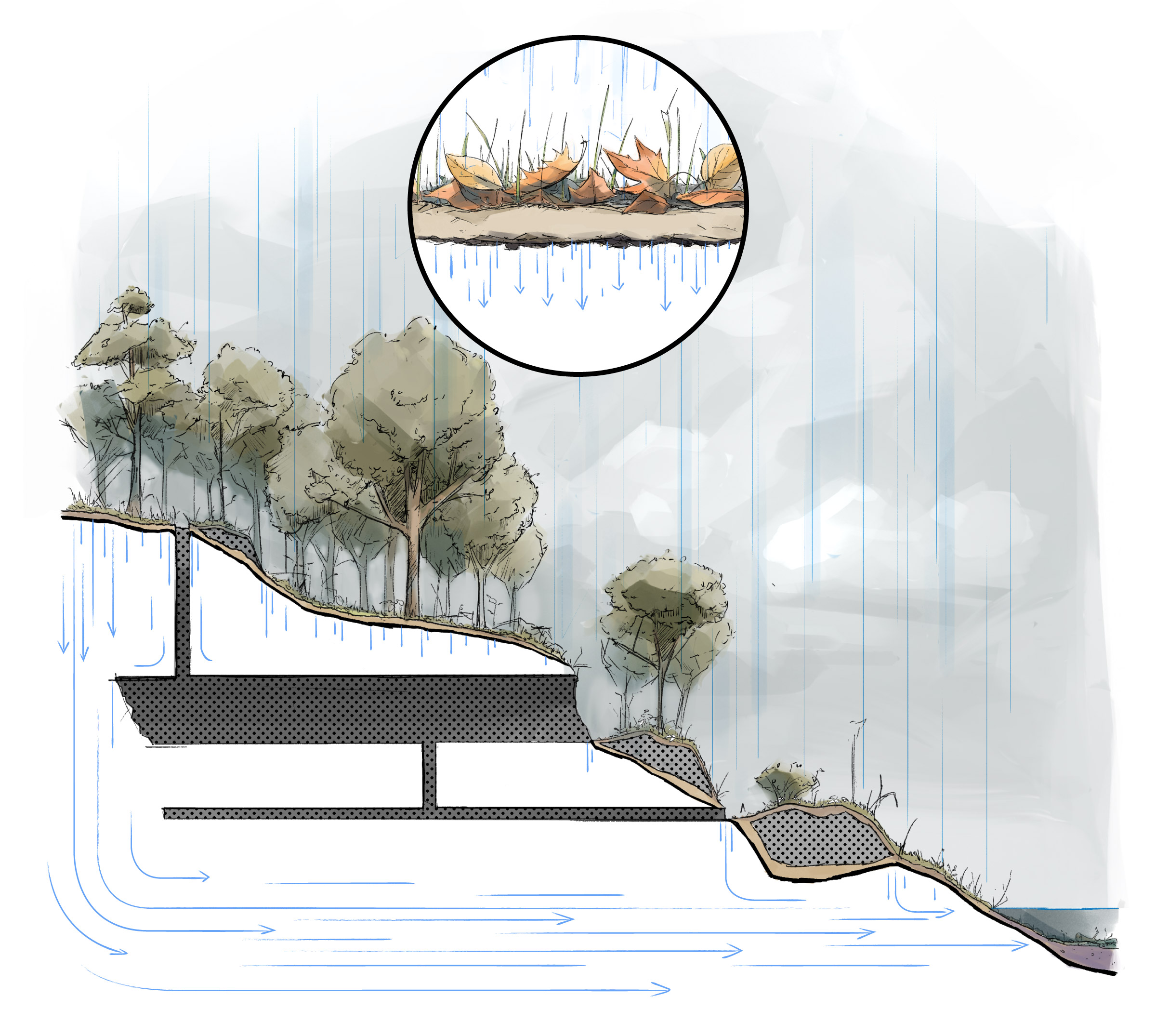 How wildfires damage watersheds and contaminate our drinking water ...