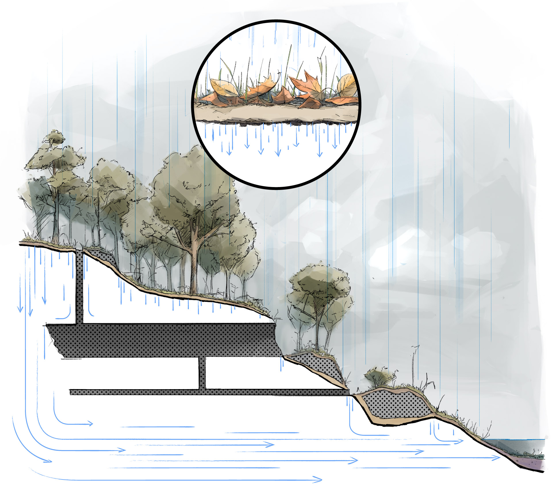 How wildfires damage watersheds and contaminate our drinking water ...