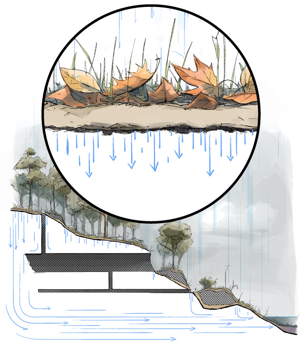 How wildfires damage watersheds and contaminate our drinking water ...
