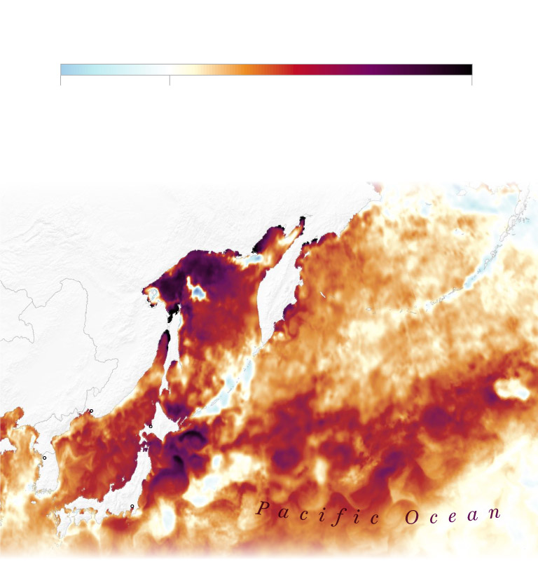 Ocean temperature maps show where waters are extraordinarily hot this ...