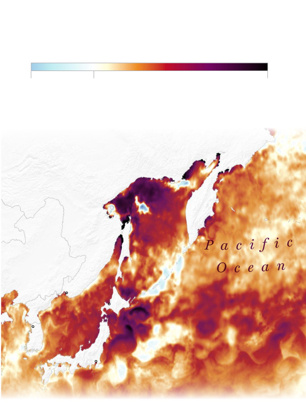Ocean temperature maps show where waters are extraordinarily hot this ...