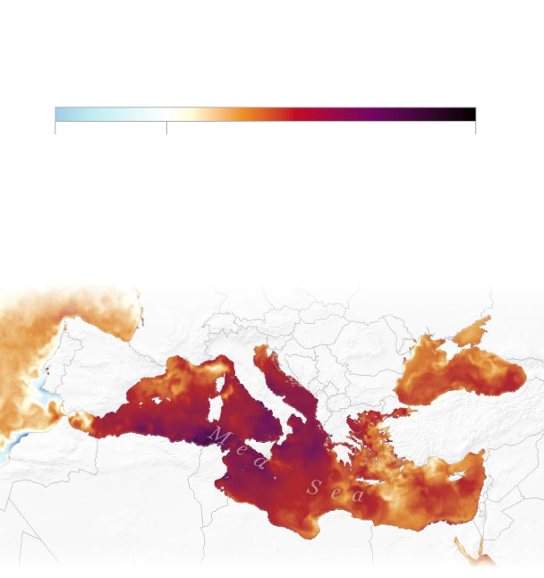 Ocean temperature maps show where waters are extraordinarily hot this ...