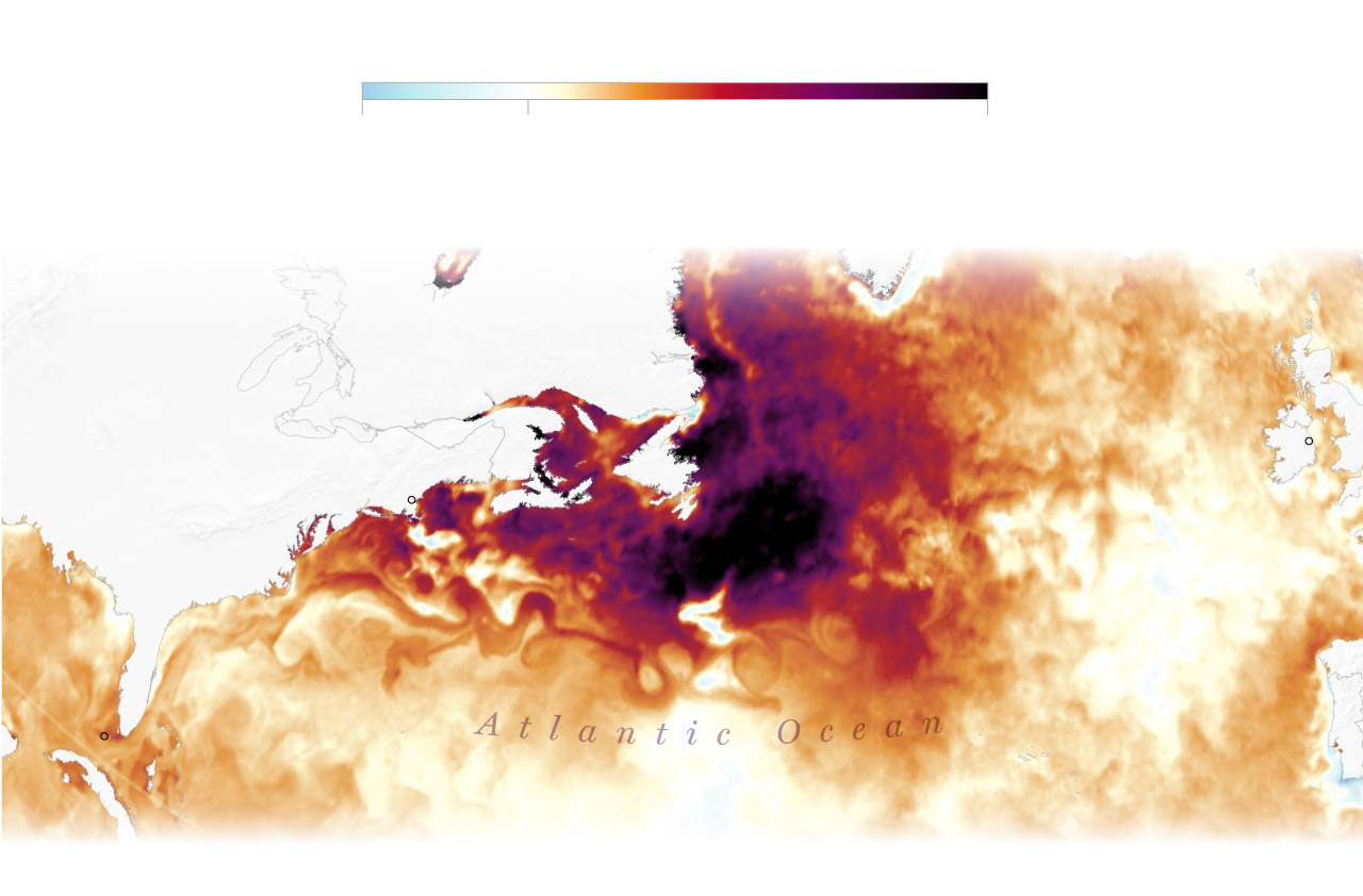 Ocean temperature maps show where waters are extraordinarily hot this ...