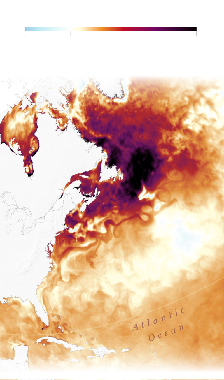 Ocean temperature maps show where waters are extraordinarily hot this ...