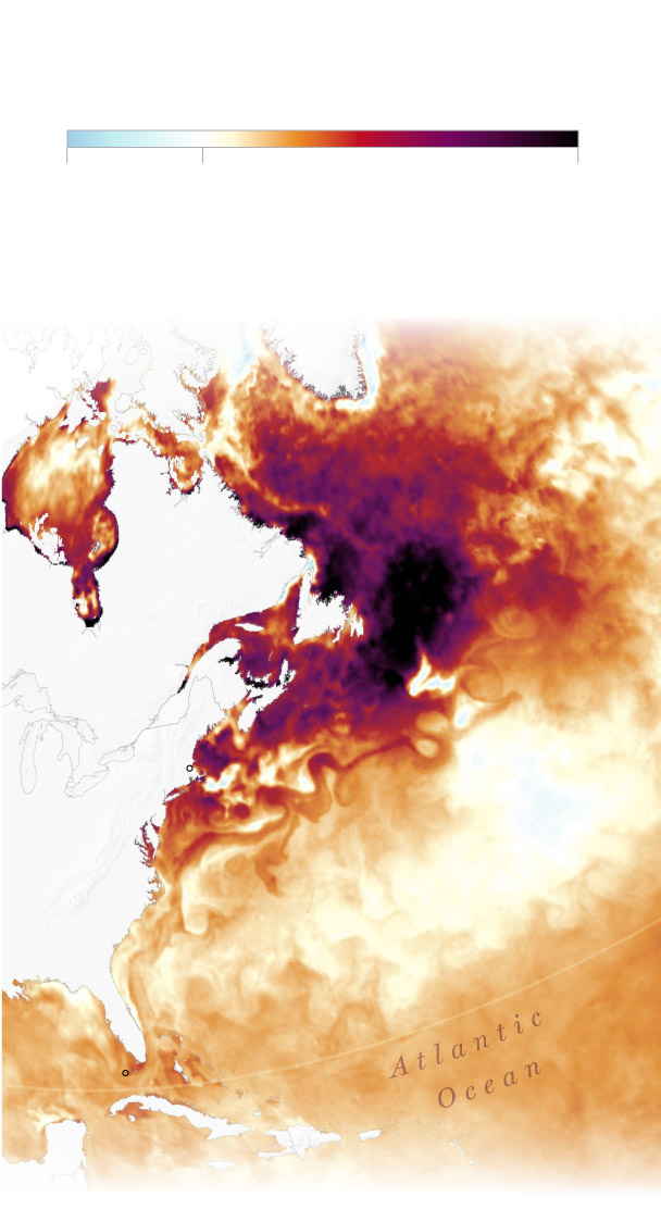 Ocean temperature maps show where waters are extraordinarily hot this ...