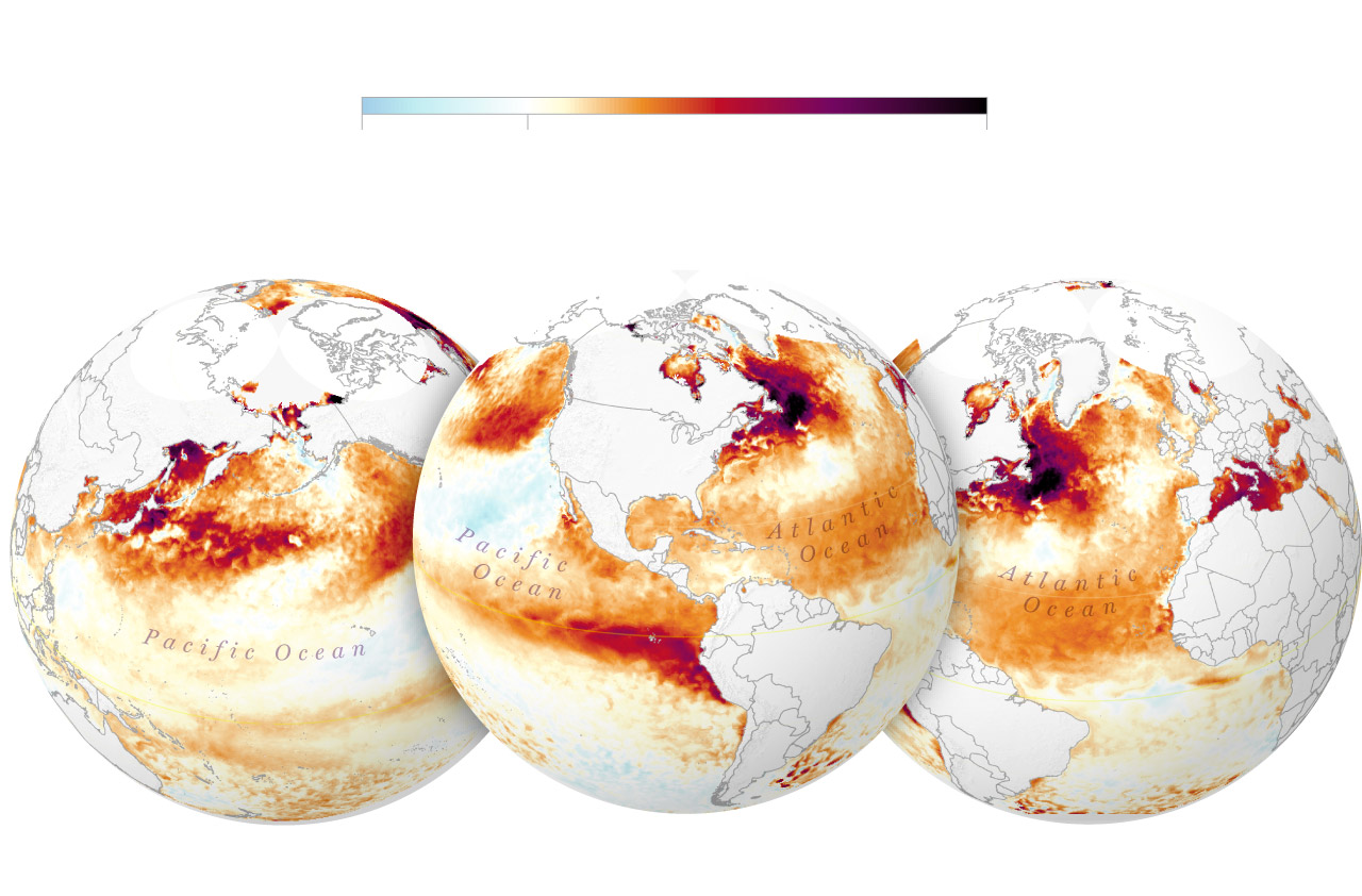 Ocean temperature maps show where waters are extraordinarily hot this ...
