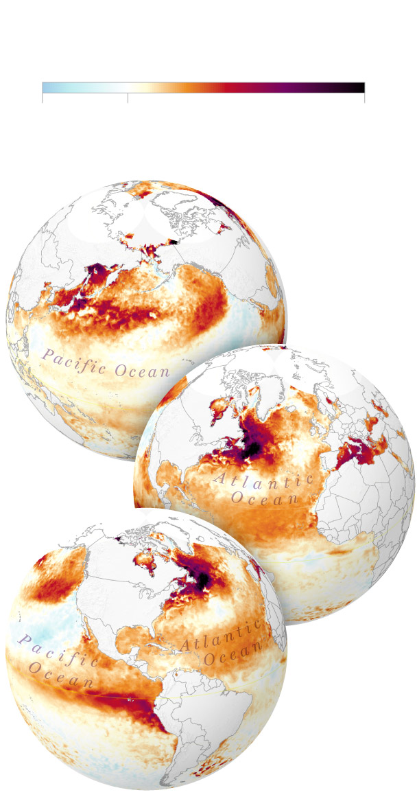 Ocean temperature maps show where waters are extraordinarily hot this ...